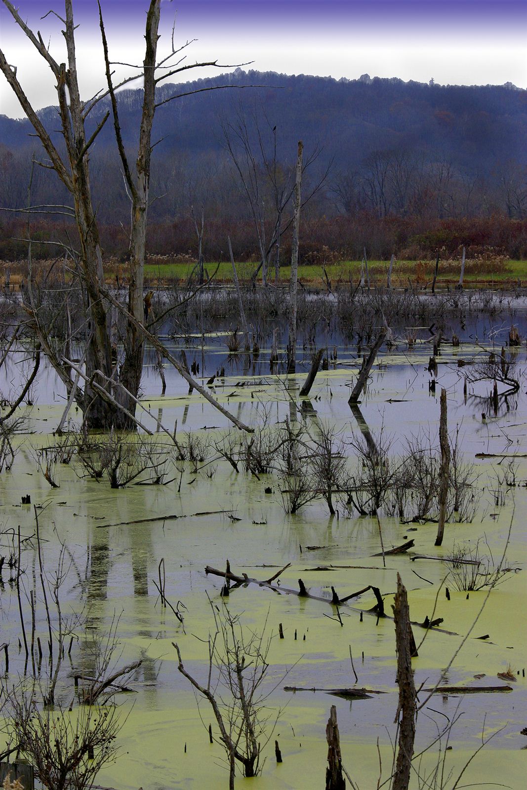 Locations Hub - Green Bottom Wildlife Management Area