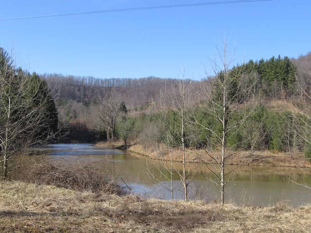 Locations Hub - LAKE RILEY - Lake & House [GILLOOLY]